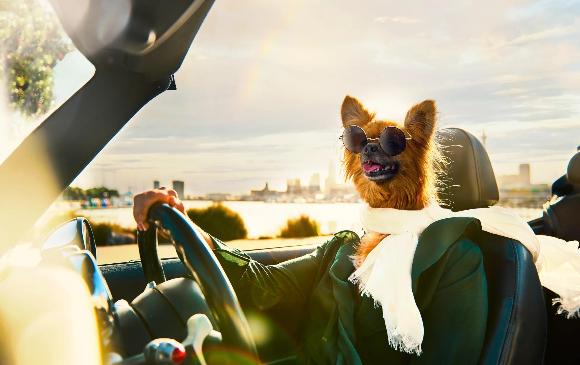 Go Car Finance - Car ownership made simple